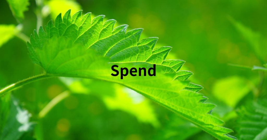 spend の使い方 | ガマ343 ブログ